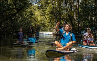Home - Paddle 9
