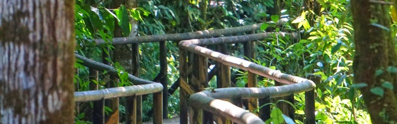 Manuel Antonio National Park Guided Tour - Paddle 9